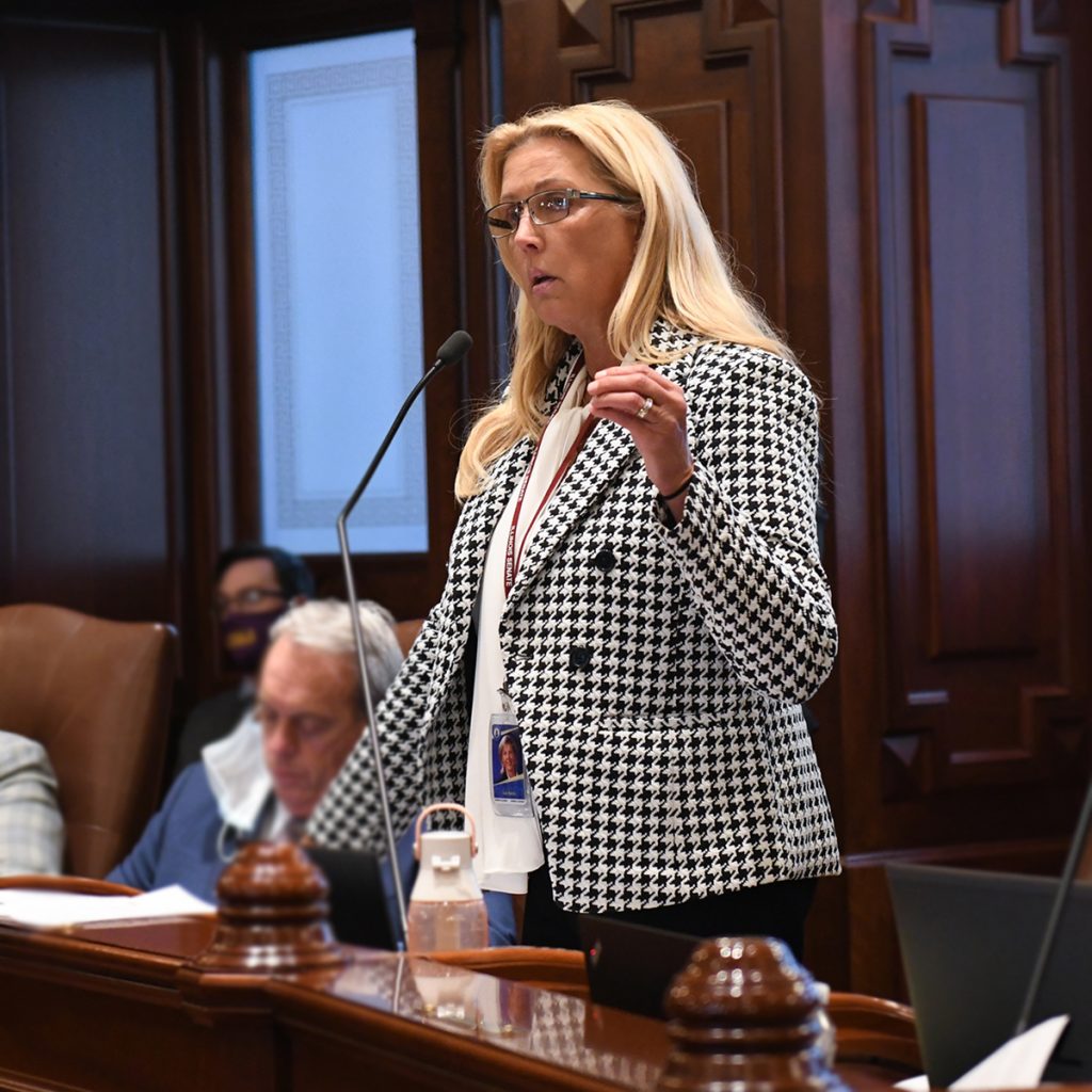Sen. Rezin reacts to the passage of a supplemental budget – IL Senate GOP