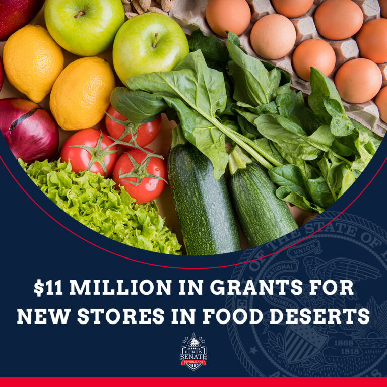 Illinois Grocery Initiative Announces $11 Million in Grants for New ...