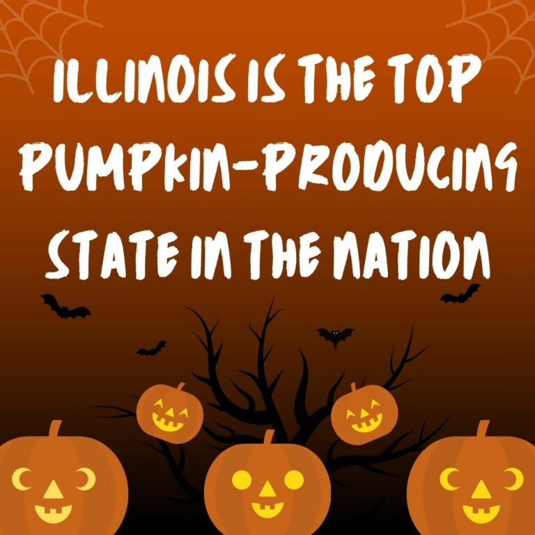 Illinois is the Top Pumpkin-Producing State in the Nation – IL Senate GOP