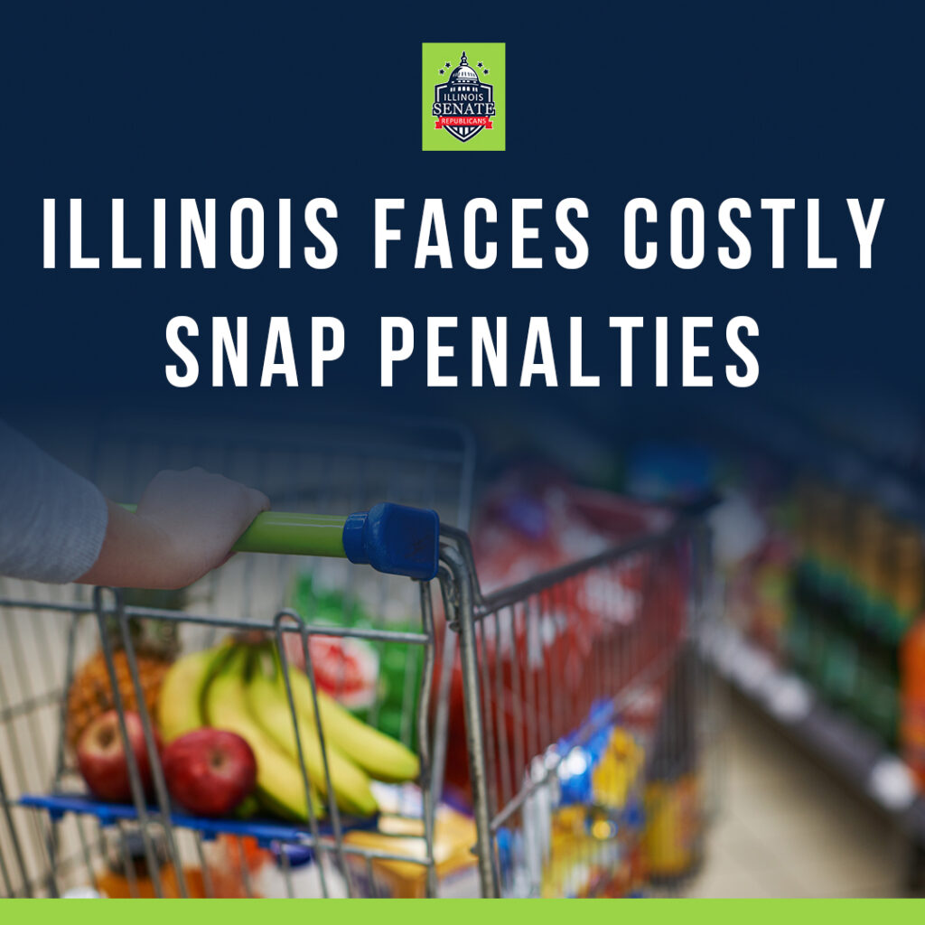 Illinois Faces Costly SNAP Penalties, Senate Republicans Call for Transparency – IL Senate GOP